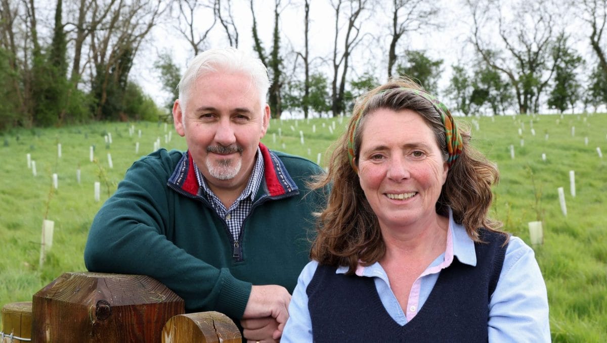 First Two-Star Rating For Yellow Door - Business Eye